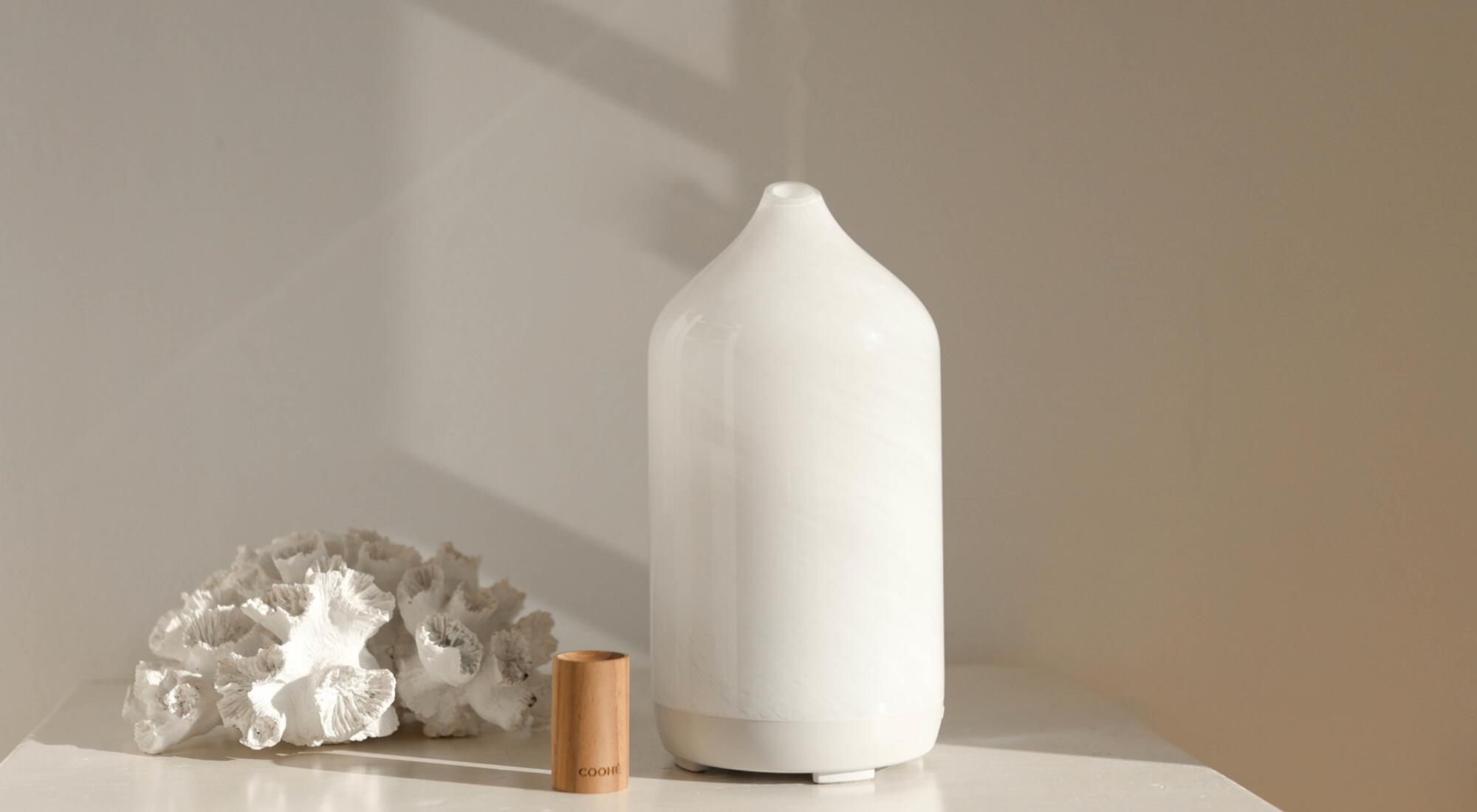 How to Choose the Best Aroma Diffusers for Your Home